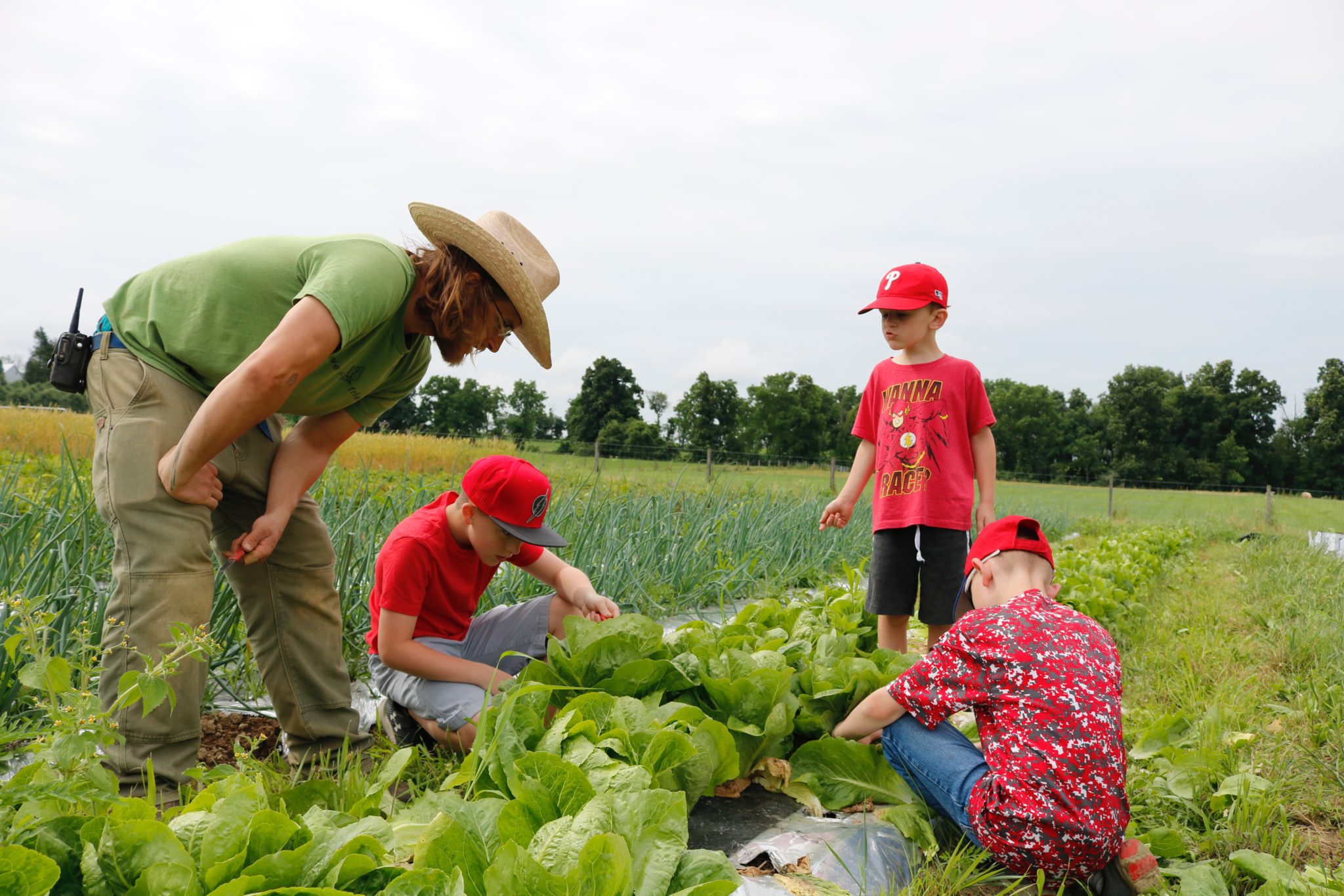 Farming Book Recommendations for Your Budding Reader – Grow Clean Water